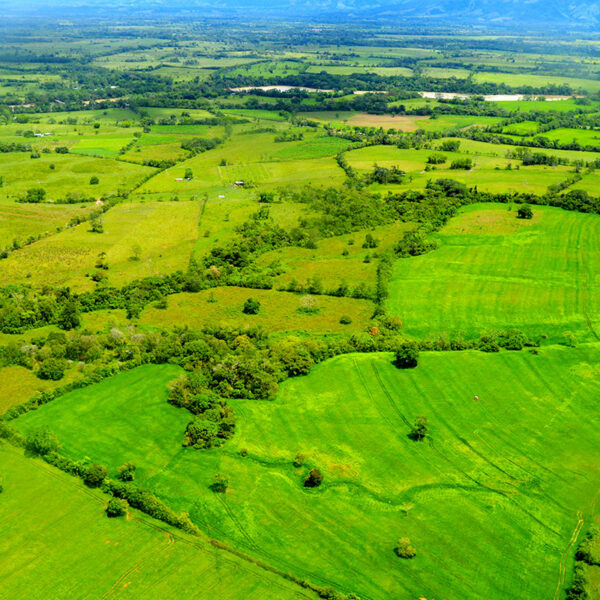 Nature-Based Solutions | ALLCOT