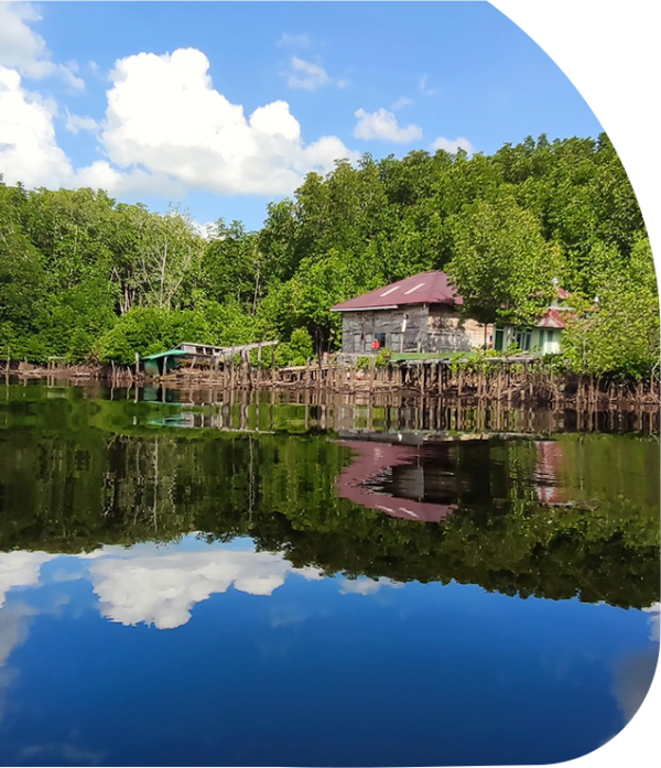 Nature-Based Solutions | ALLCOT