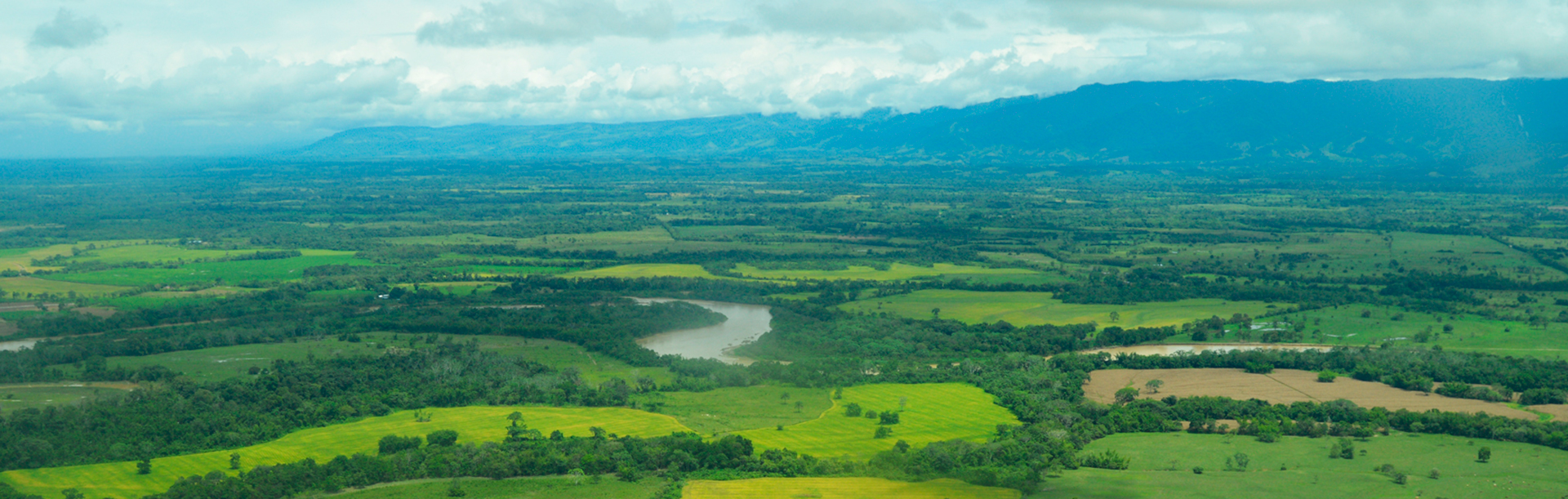 ALLCOT | Accelerating the transition to Net Zero