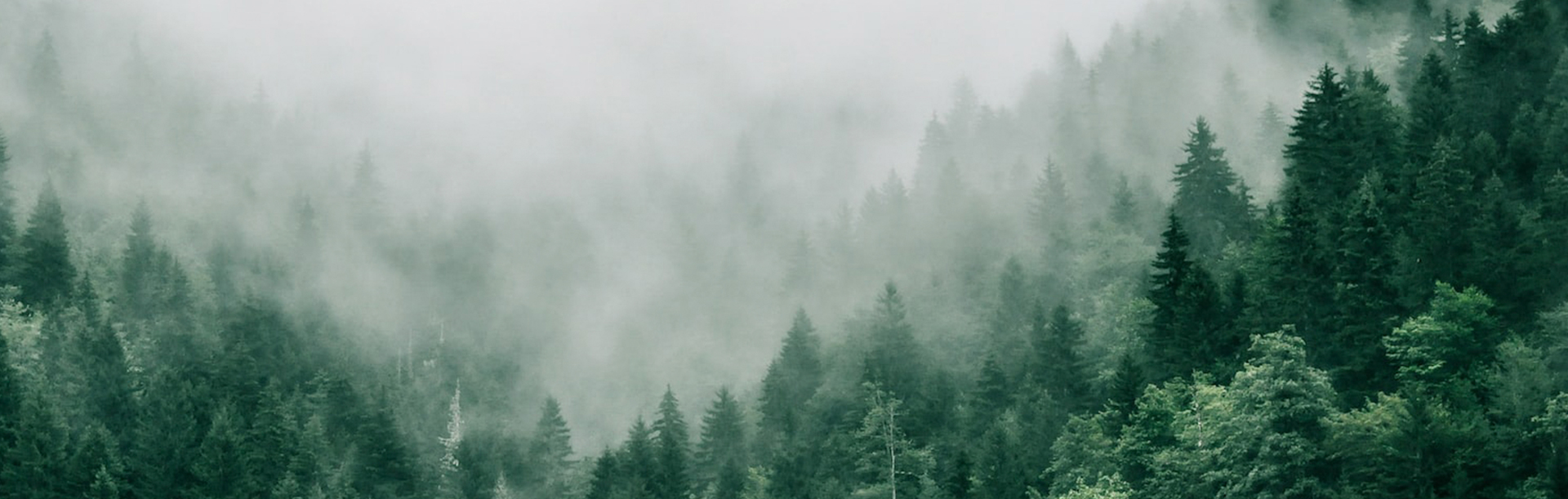 ALLCOT | Accelerating the transition to Net Zero