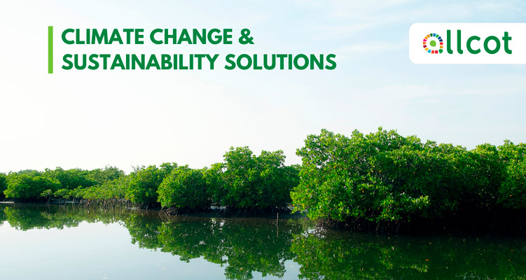 Future Projects | ALLCOT