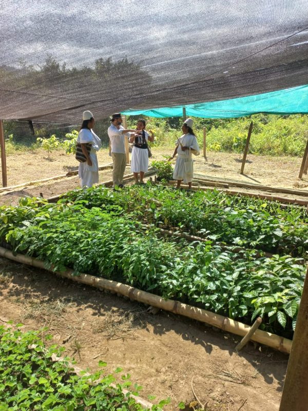 ALLCOT | Accelerating the transition to Net Zero