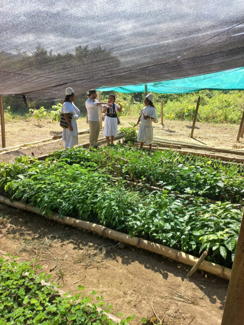 ALLCOT | Accelerating the transition to Net Zero