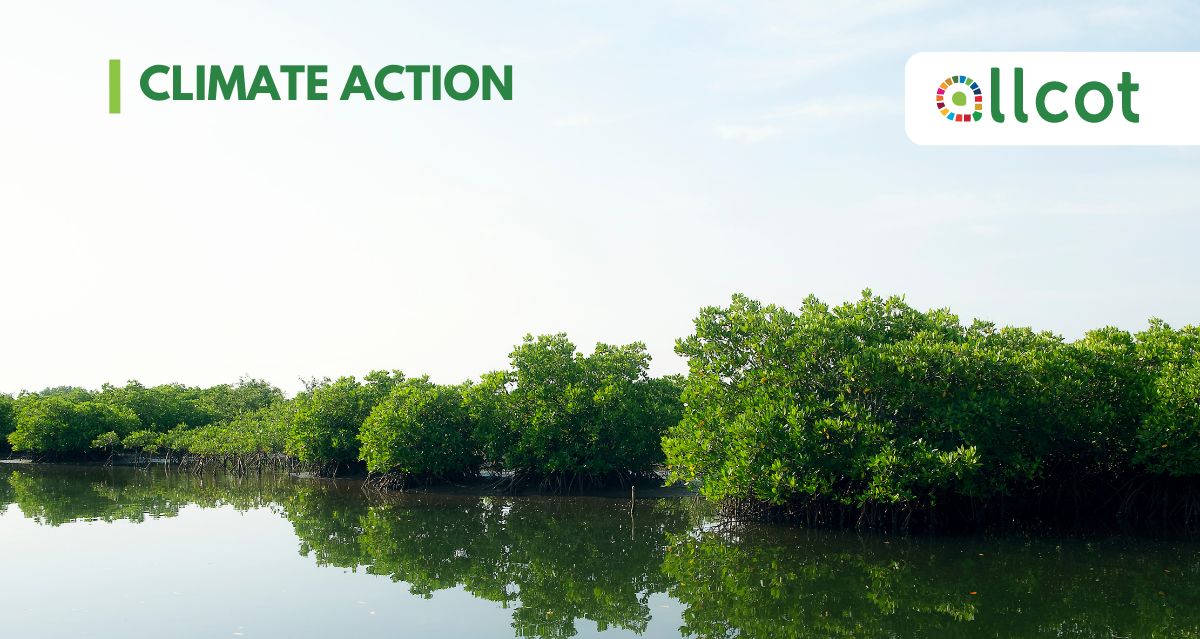 Climate Action | ALLCOT