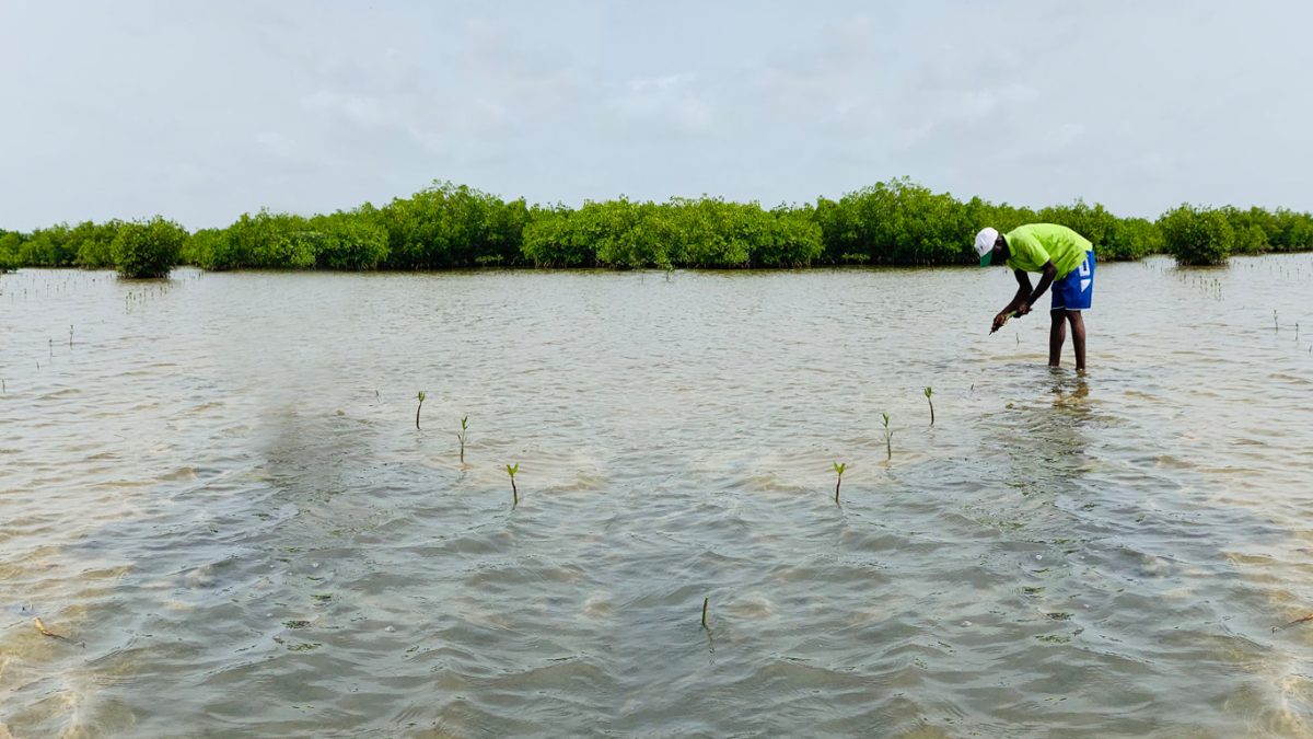 ALLCOT | Accelerating the transition to Net Zero