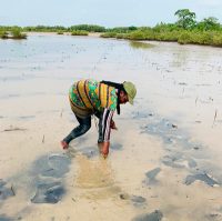 ABC Senegal | ALLCOT