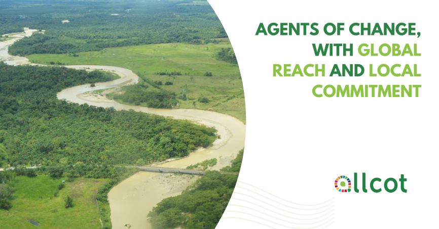 ALLCOT Culture | Our Values