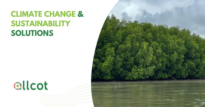 ALLCOT | Accelerating the transition to Net Zero