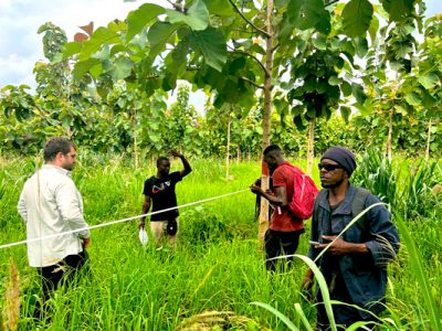 Reforestation of Degraded Forest Reserve Land in Ghana