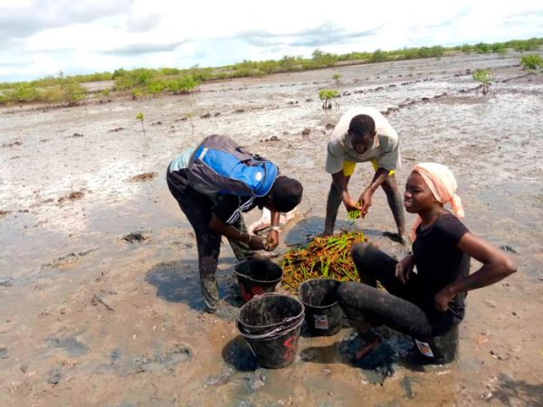 ABC Senegal | ALLCOT