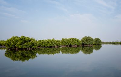 ABC Senegal | ALLCOT