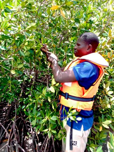 ABC Senegal | ALLCOT
