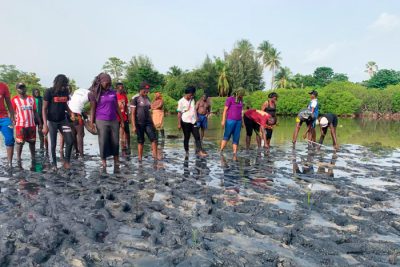 ABC Senegal | ALLCOT