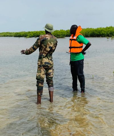 ABC Senegal | ALLCOT