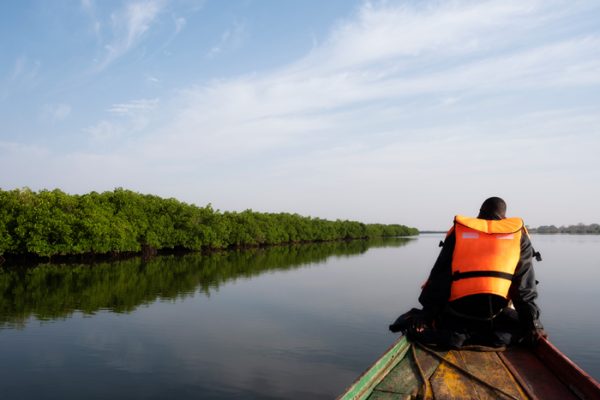 ABC Senegal | ALLCOT