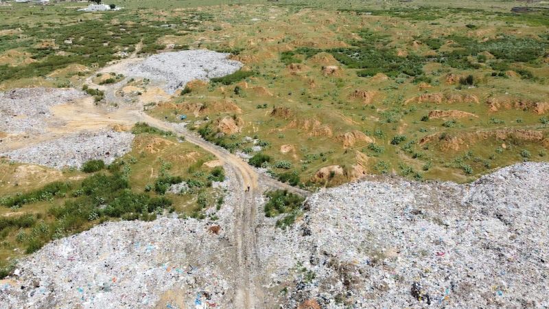 Procurement Solutions | ALLCOT