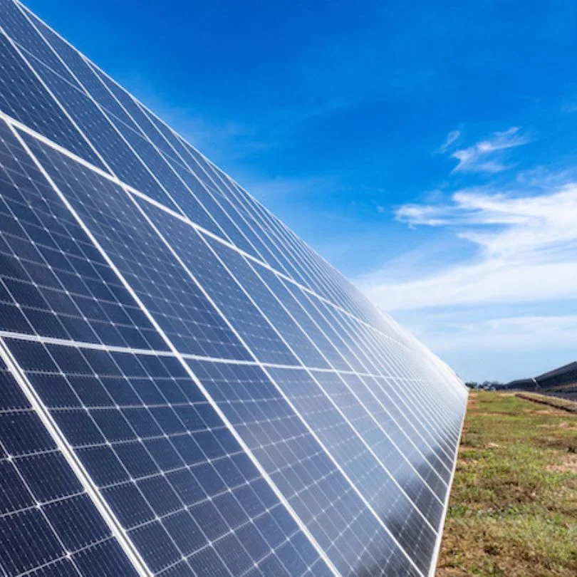 Procurement Solutions | ALLCOT